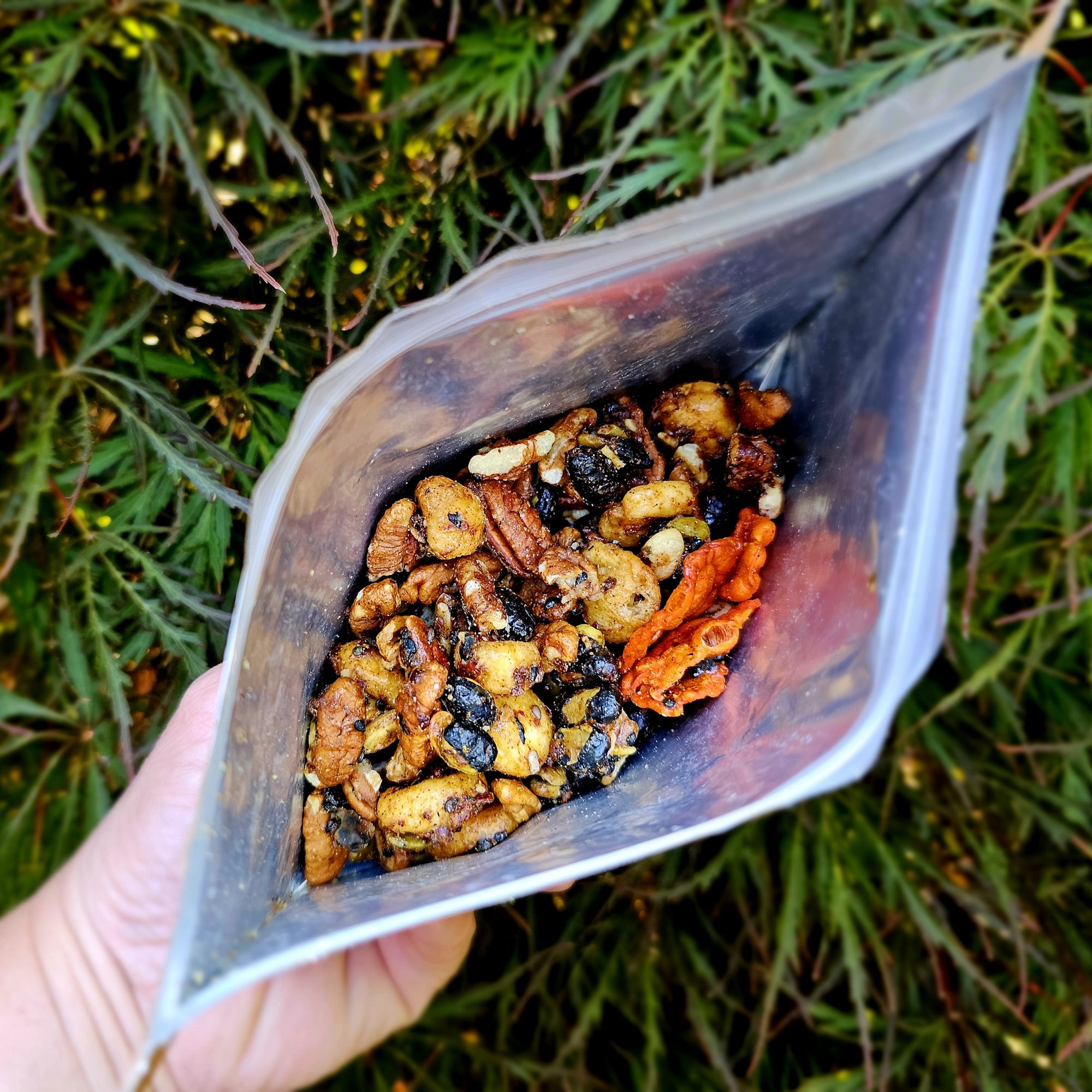 20250724_1846432903131078316357151 I Trail Cooking