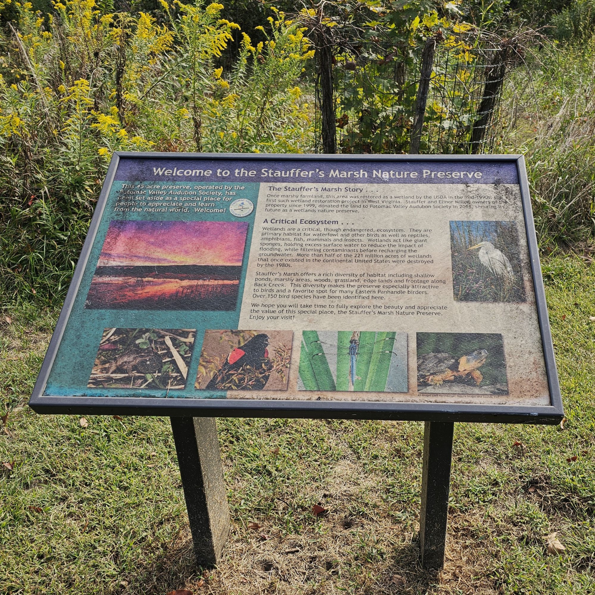 20250920_1003305232572816218916097 I Trail Cooking