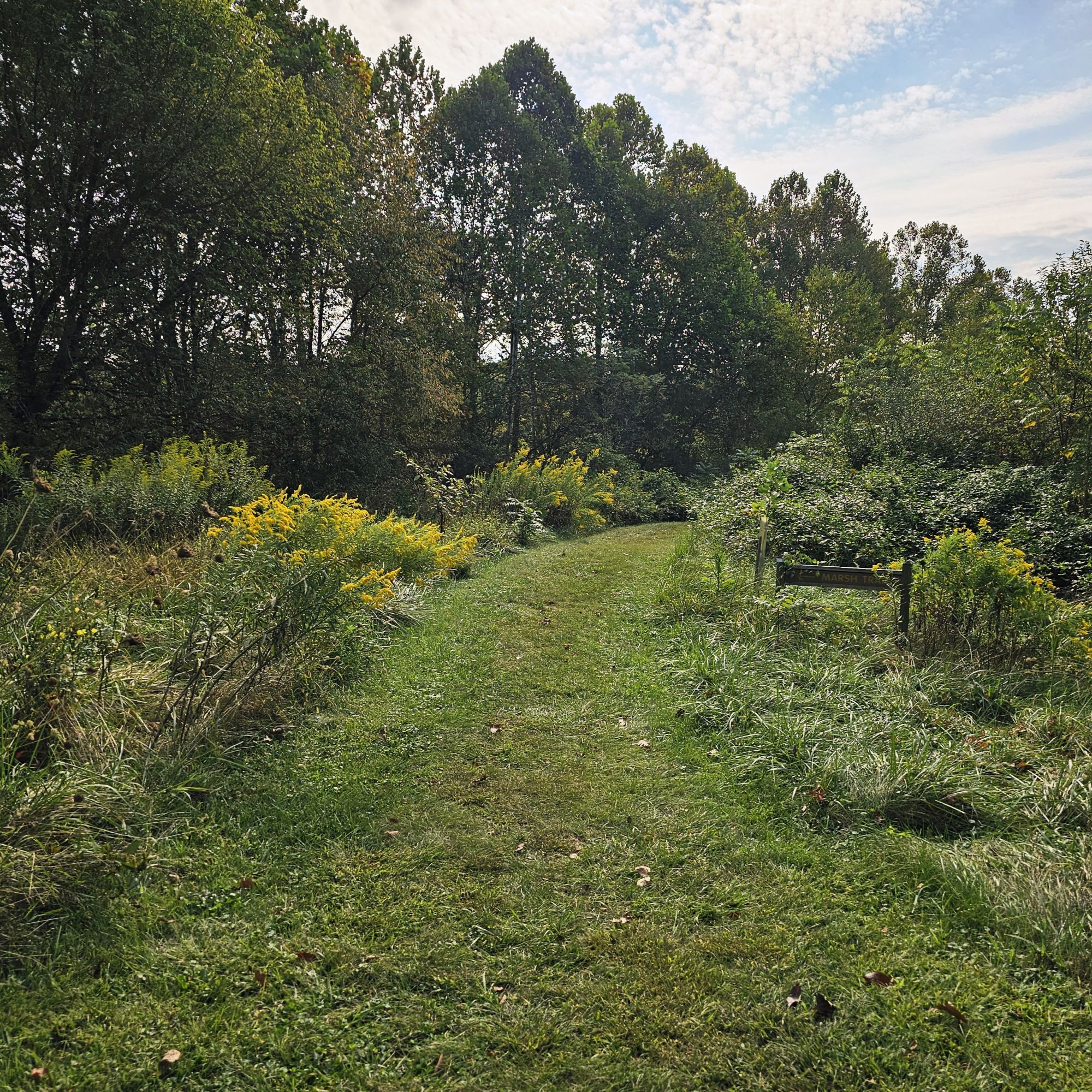 20250920_1003391529559493735668879 I Trail Cooking