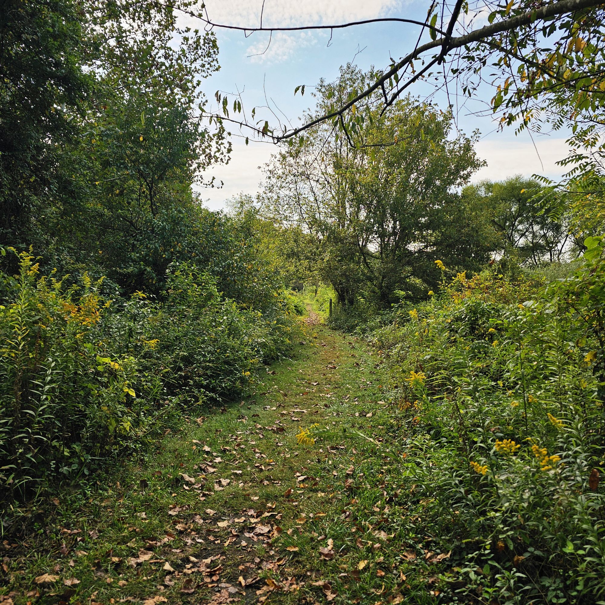 20250920_1005386211053813649991554 I Trail Cooking